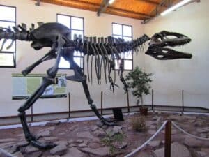 Giganotosaurus | The Giant Predator of the Late Cretaceous
