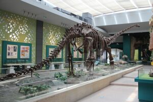 Mamenchisaurus | A Giant Sauropod of Late Jurassic Asia