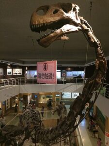 Mamenchisaurus | A Giant Sauropod of Late Jurassic Asia