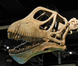 Mamenchisaurus | A Giant Sauropod of Late Jurassic Asia