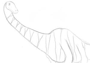 Kotasaurus | Early Jurassic sauropod from Kota in India