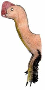 Hagryphus | Late Cretaceous Omnivore from Utah USA
