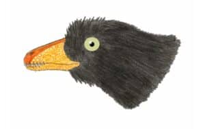 Aorun | The Chinese Dragon King of the Late Jurassic World