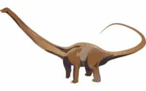 Barosaurus | A Giant Herbivore That Roamed North America