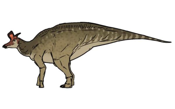 Lambeosaurus | The Crested Dinosaur of the Late Cretaceous