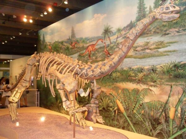 Lufengosaurus | An Early Jurassic Era's Majestic Herbivore