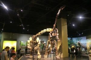 Lufengosaurus | An Early Jurassic Era's Majestic Herbivore