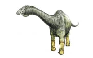 Haplocanthosaurus | Early Sauropod from the Late Jurassic