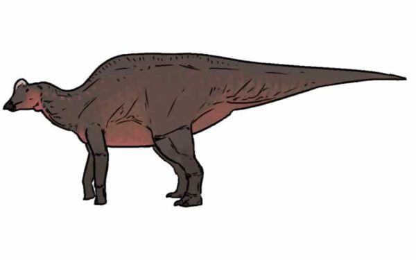 Nipponosaurus | Japan's Unique Late Cretaceous Dinosaur