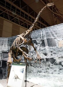 Nothronychus | A Late Cretaceous Theropod from North America