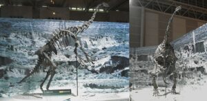 Nothronychus | A Late Cretaceous Theropod from North America