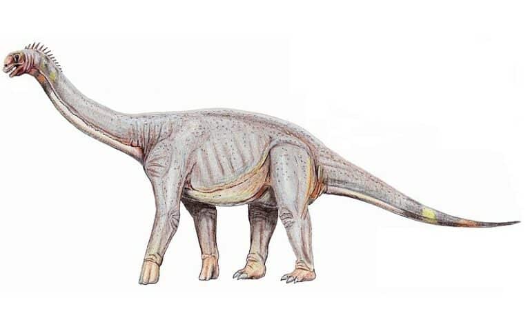 Astrodon | Star-Toothed sauropod of the Early Cretaceous