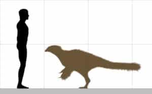 Beipiaosaurus | An Early Feathered Cretaceous Herbivore