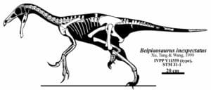 Beipiaosaurus | An Early Feathered Cretaceous Herbivore