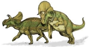Avaceratops | Ava’s Horned Dinosaur of Ancient Montana