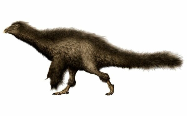Beipiaosaurus | An Early Feathered Cretaceous Herbivore