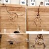 Avimimus | Unveiling the Bird Mimic of the Late Cretaceous