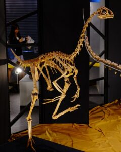 Avimimus | Unveiling the Bird Mimic of the Late Cretaceous