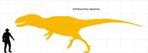 Indosuchus| The Late Cretaceous Predator of Ancient India