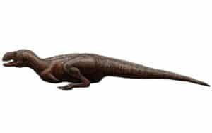 Indosuchus| The Late Cretaceous Predator of Ancient India