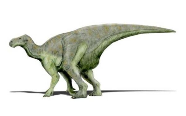 Barilium | A Journey Through the Heavy Flank's Era