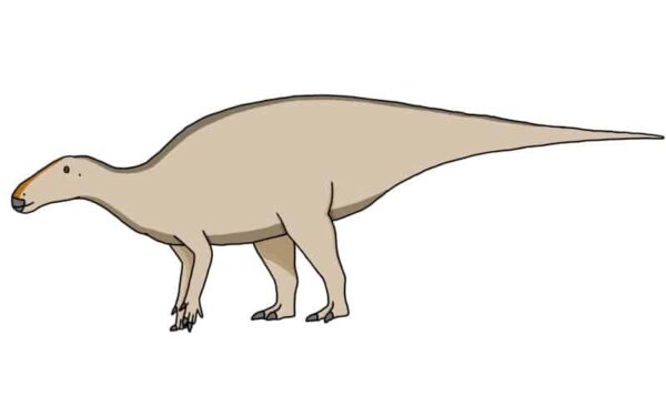 Batyrosaurus | The “Hero” Dino of the Late Cretaceous