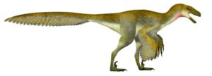 Dromaeosaurus | The Swift Predator of the Cretaceous