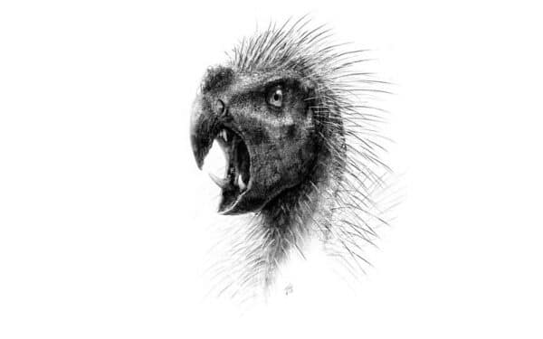 Pegomastax: Strong-Jawed Dinosaur of the Early Jurassic