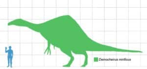 Deinocheirus: The Enigmatic Giant of the Late Cretaceous