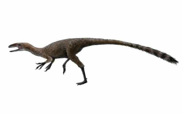 Aristosuchus: Best Crocodile of the Early Cretaceous