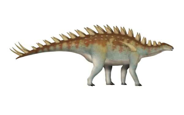 Baiyinosaurus | Discover the Stegosaur from the Middle Jurassic