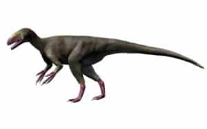 Eotyrannus: Early Cretaceous Tyrant Dinosaur