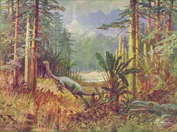Anchisaurus: “Near-Lizard” of the Early Jurassic