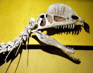 Dilophosaurus | Double-Crested Predator of the Early Jurassic