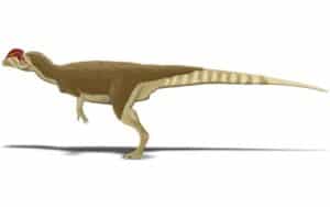 Dilophosaurus | Double-Crested Predator of the Early Jurassic