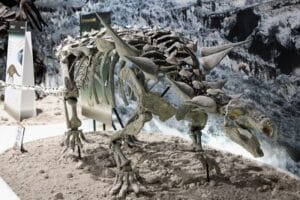 Animantarx |The Armored Herbivore of the Early Cretaceous