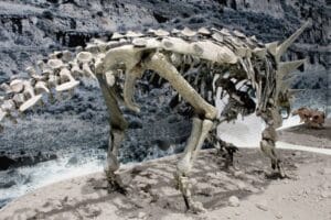 Animantarx |The Armored Herbivore of the Early Cretaceous