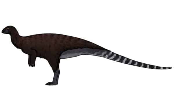 Chakisaurus | A Swift Herbivore from the Late Cretaceous