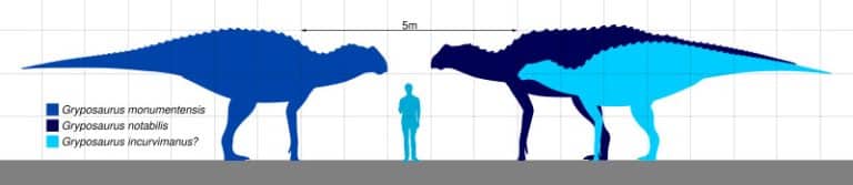Gryposaurus | The Hook-Nosed Dinosaur from the Late Cretaceous